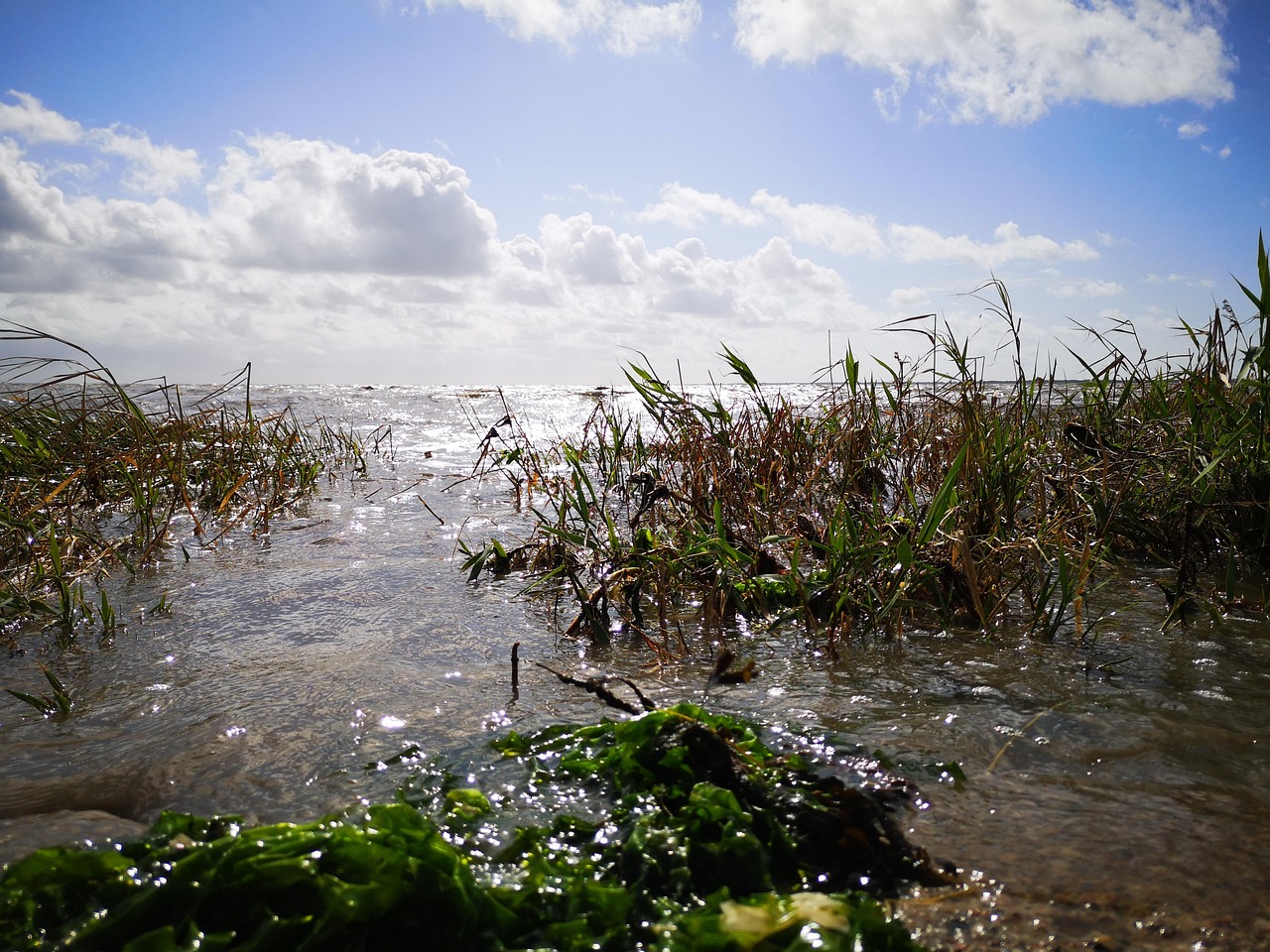 Lac Mer Baltique L'Eau La - Photo gratuite sur Pixabay