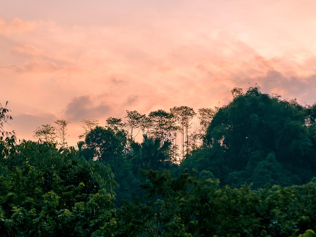 Pemandangan Alam Senja Matahari - Foto gratis di Pixabay - Pixabay