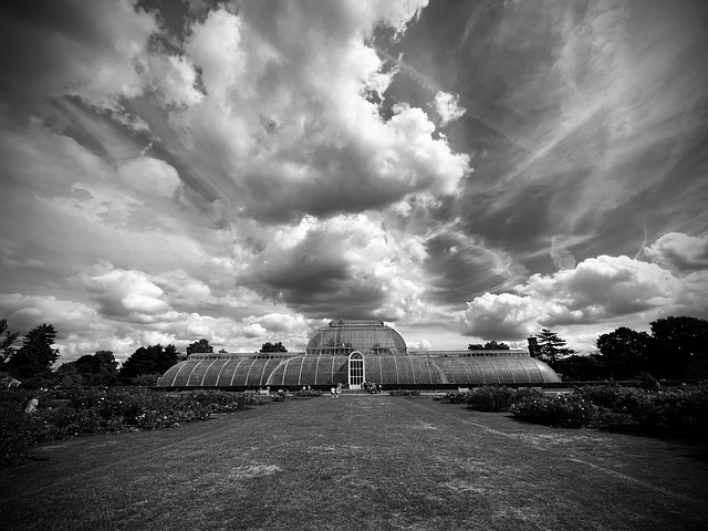 Kew Gardens Lontoo Ulkona - Ilmainen valokuva Pixabayssa - Pixabay