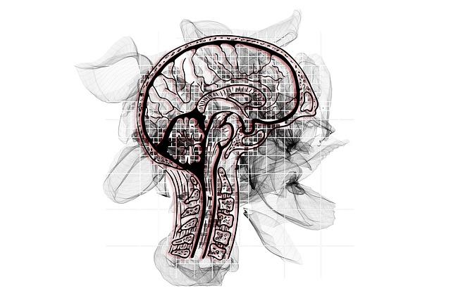 Explore 180+ Free Dementia Illustrations: Download Now - Pixabay