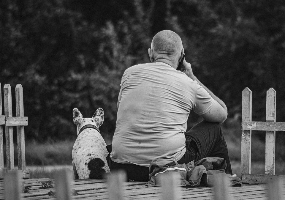 Pet Little Dog Man - Free photo on Pixabay - Pixabay