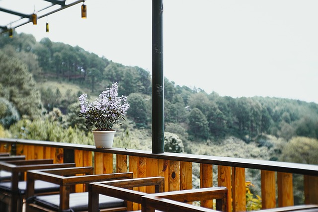 Coffee Shop Balcony Scenic View - Free photo on Pixabay - Pixabay