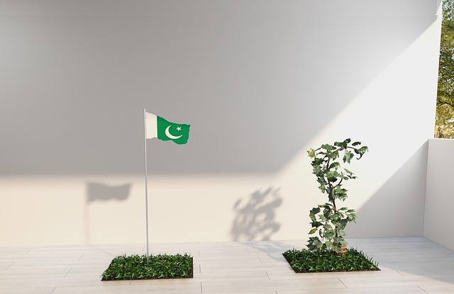 Pakistan Lippu Maa - Ilmainen valokuva Pixabayssa - Pixabay