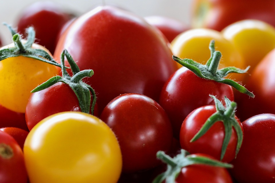 Tomat Sayuran Buah - Foto gratis di Pixabay