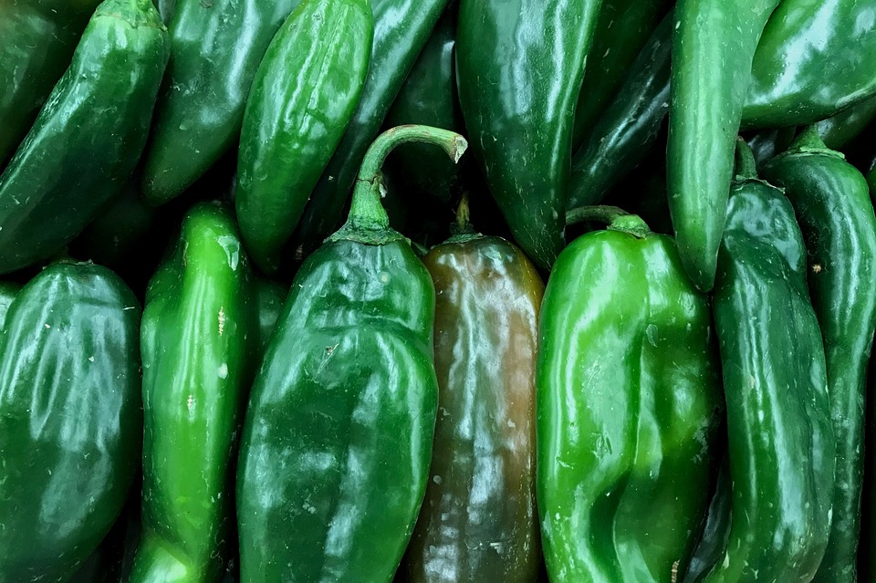 Poivrons Piments Jalapeno Des - Photo gratuite sur Pixabay - Pixabay