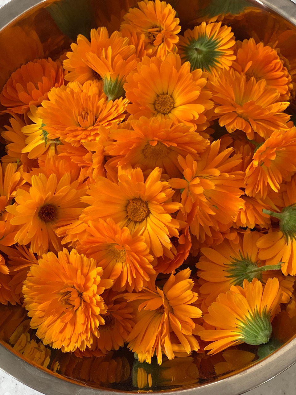 Calendula Souci Fleur - Photo gratuite sur Pixabay - Pixabay