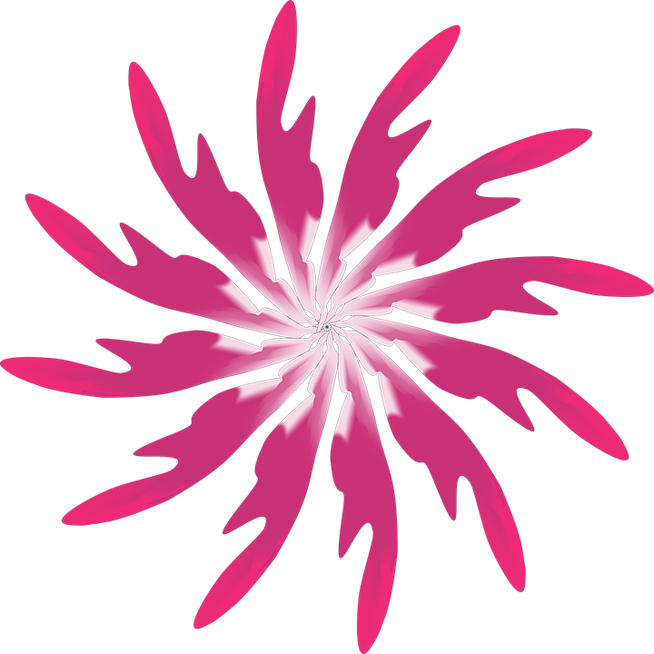 Kukka Geometrinen Taide - Ilmainen kuva Pixabayssa - Pixabay