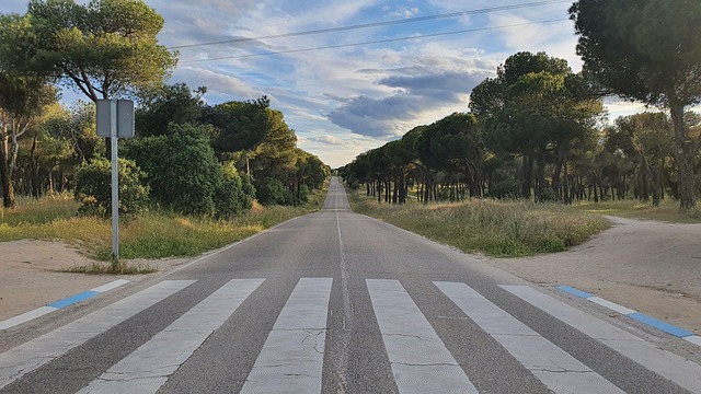 Landscape Forest Path - Free photo on Pixabay - Pixabay