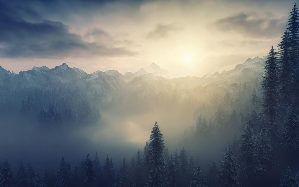 Berge Wald Nebel - Kostenloses Foto auf Pixabay - Pixabay