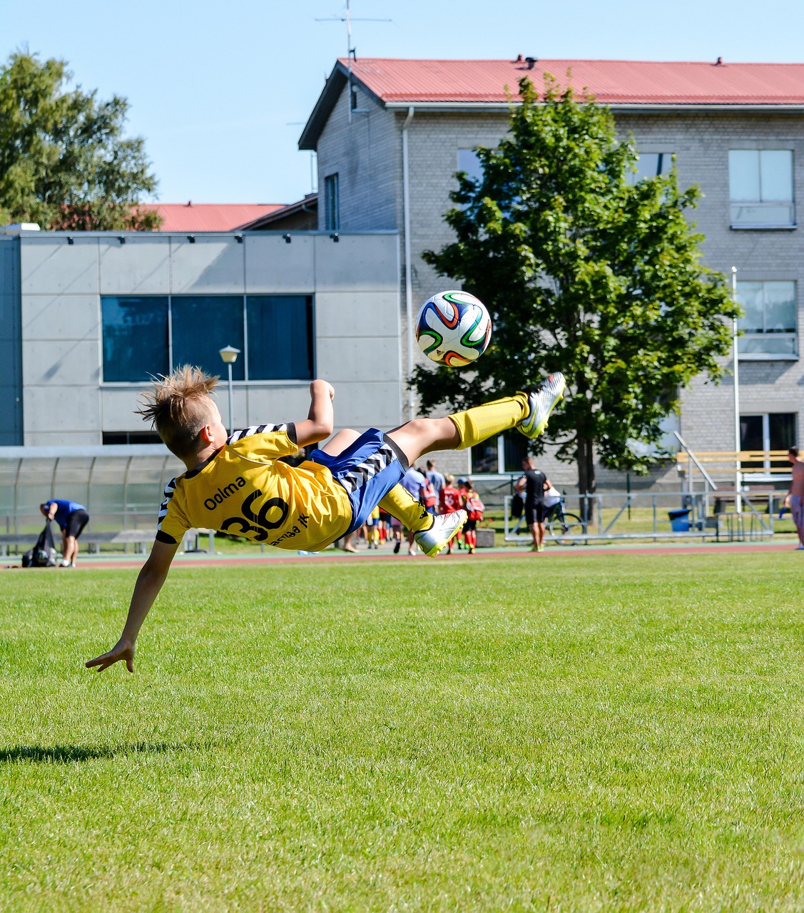 Football Soccer Sport - Free photo on Pixabay
