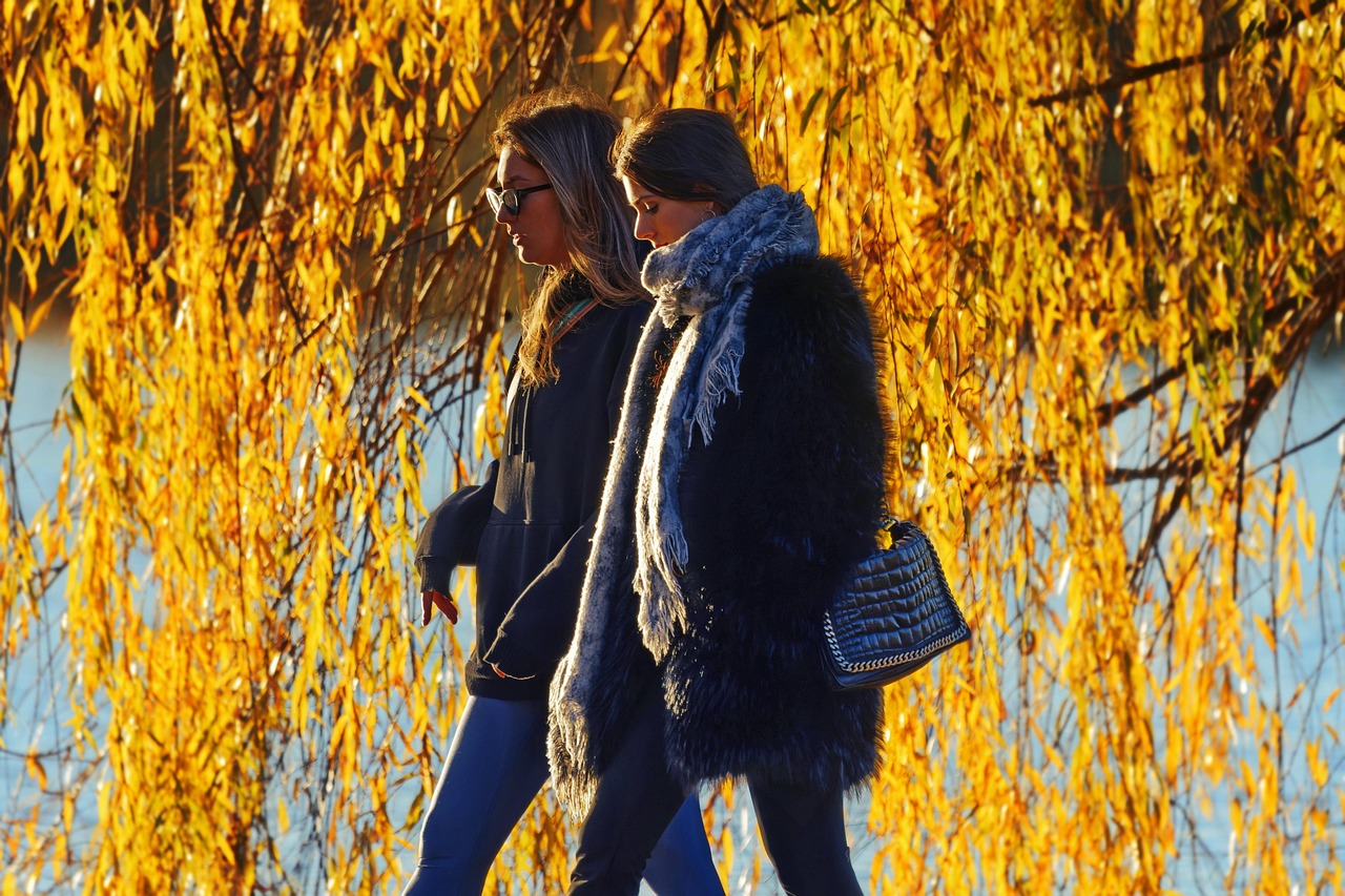 Ladies Park Lake - Free photo on Pixabay