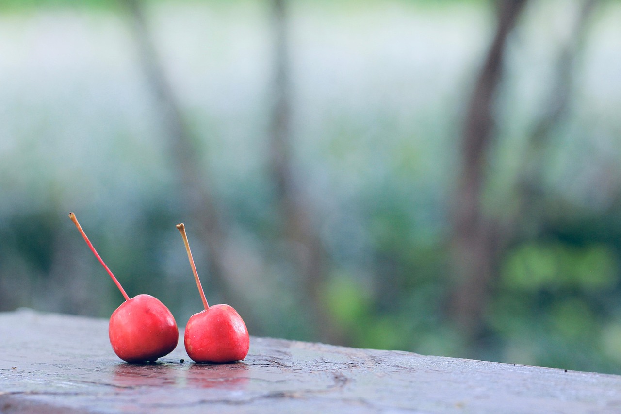 Frutas Cerejas Natureza - Foto gratuita no Pixabay - Pixabay