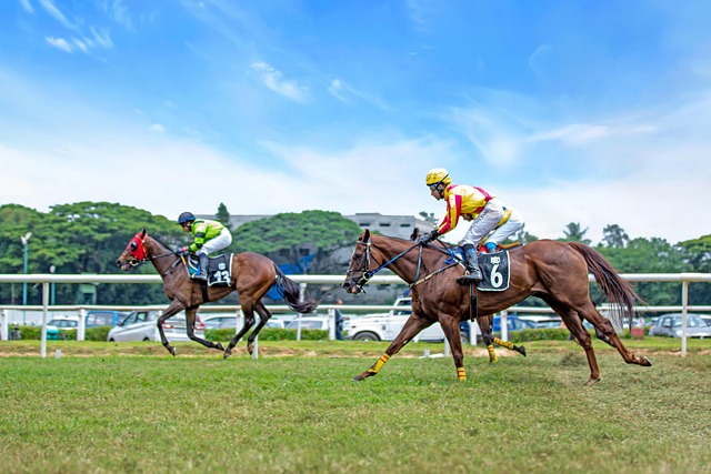 Horse Back Riding - Free photo on Pixabay - Pixabay