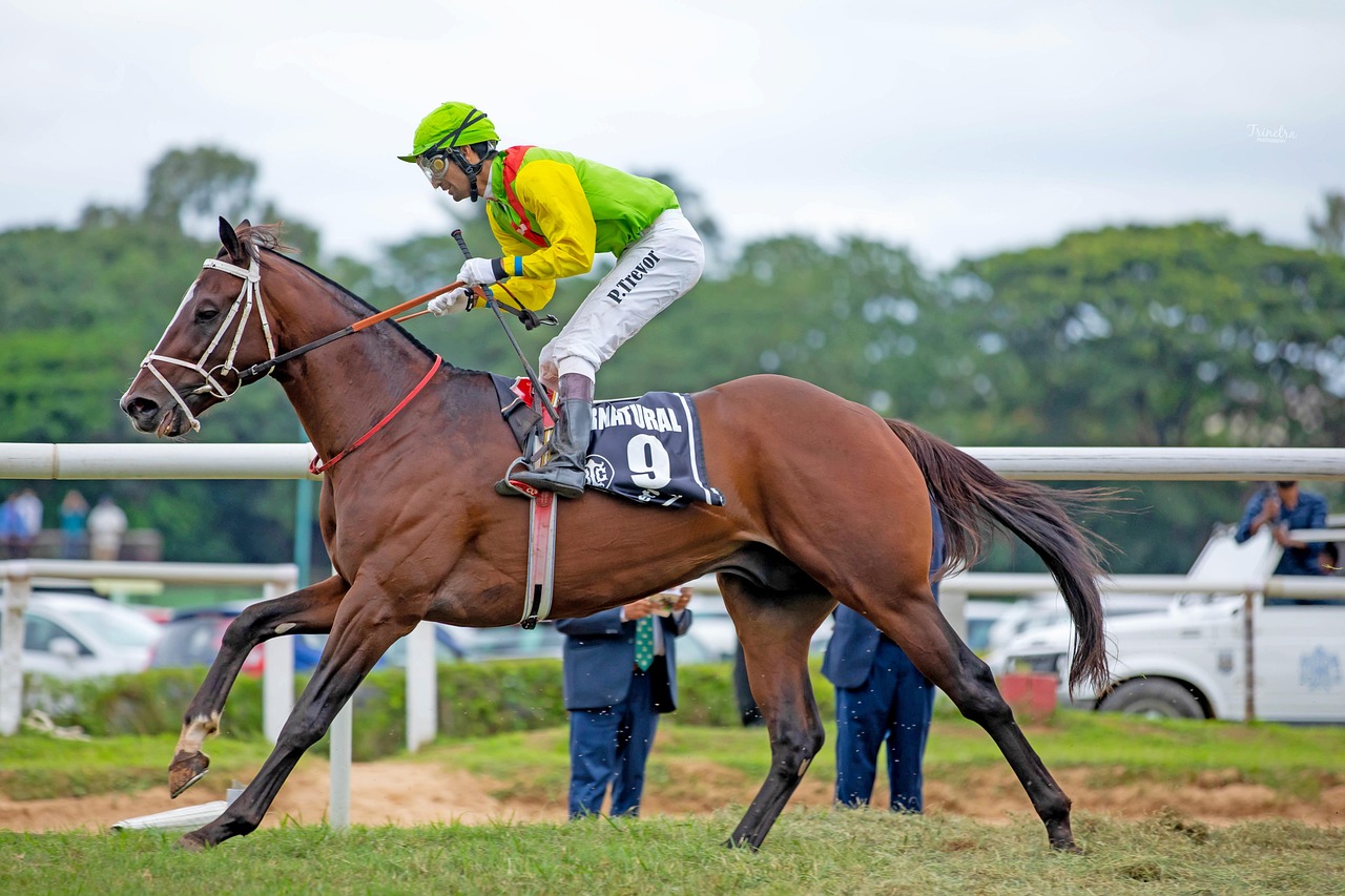 400+ Free Jockey & Horse Images - Pixabay