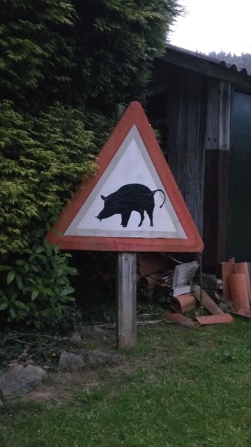 Signs Danger Wild Pig - Free photo on Pixabay - Pixabay