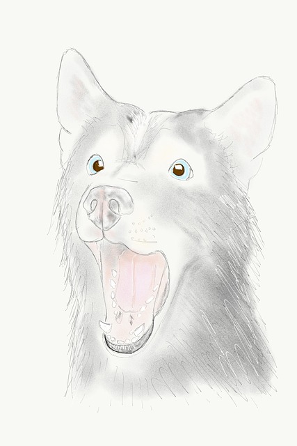 Dog Pet Surprise - Free photo on Pixabay - Pixabay