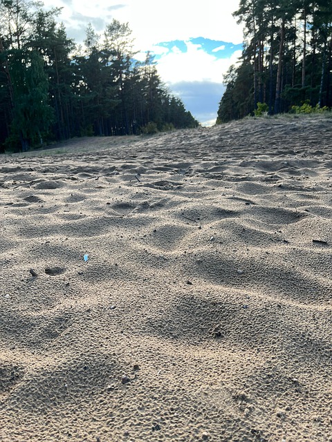 Landscape Nature Sand - Free photo on Pixabay