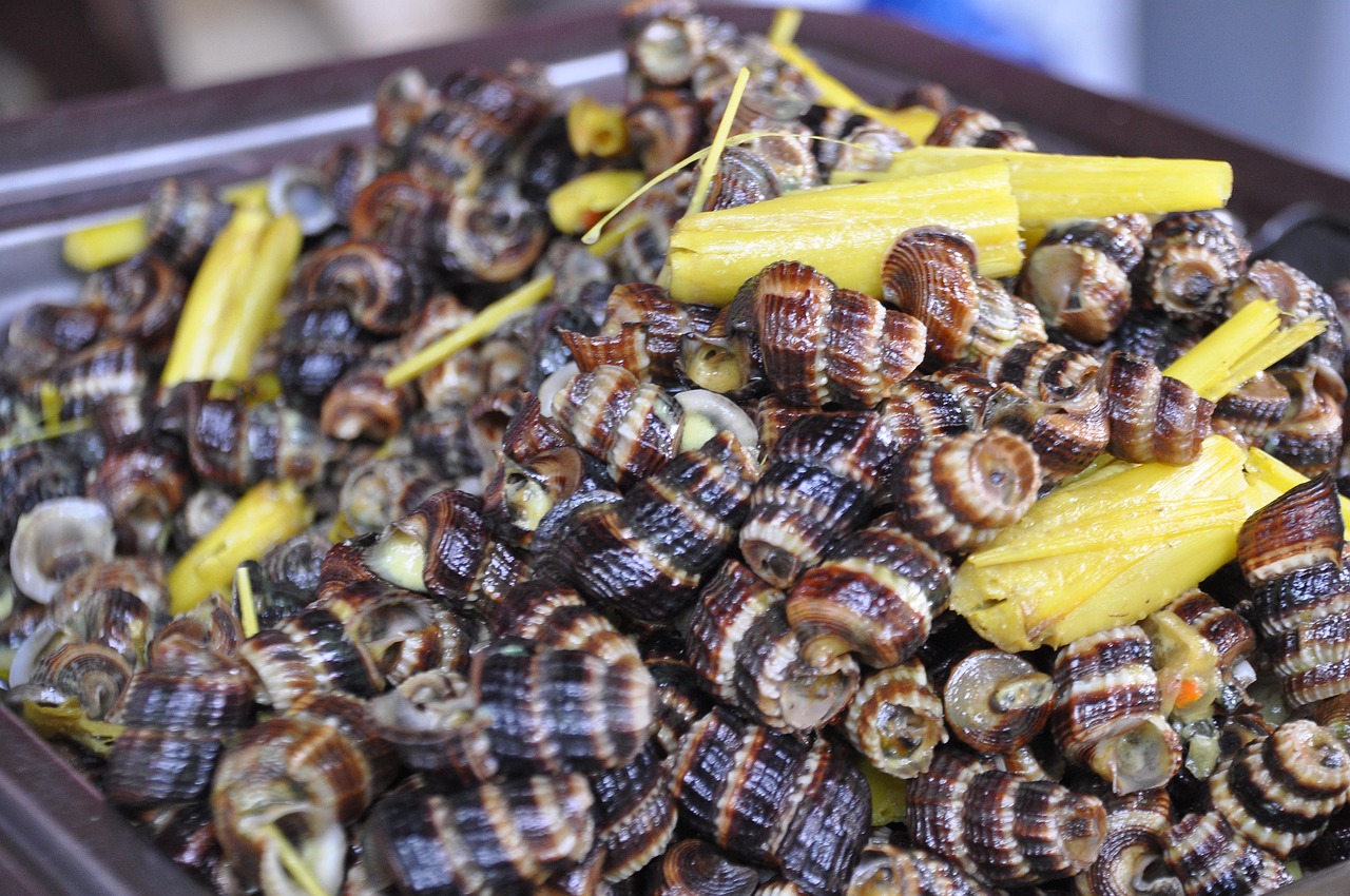 Alimento Comida Especial - Foto gratis en Pixabay - Pixabay