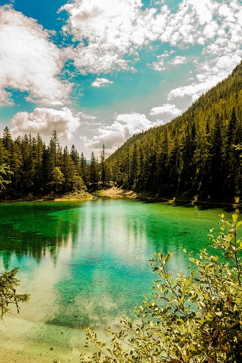 Lake Styria Forest - Free photo on Pixabay