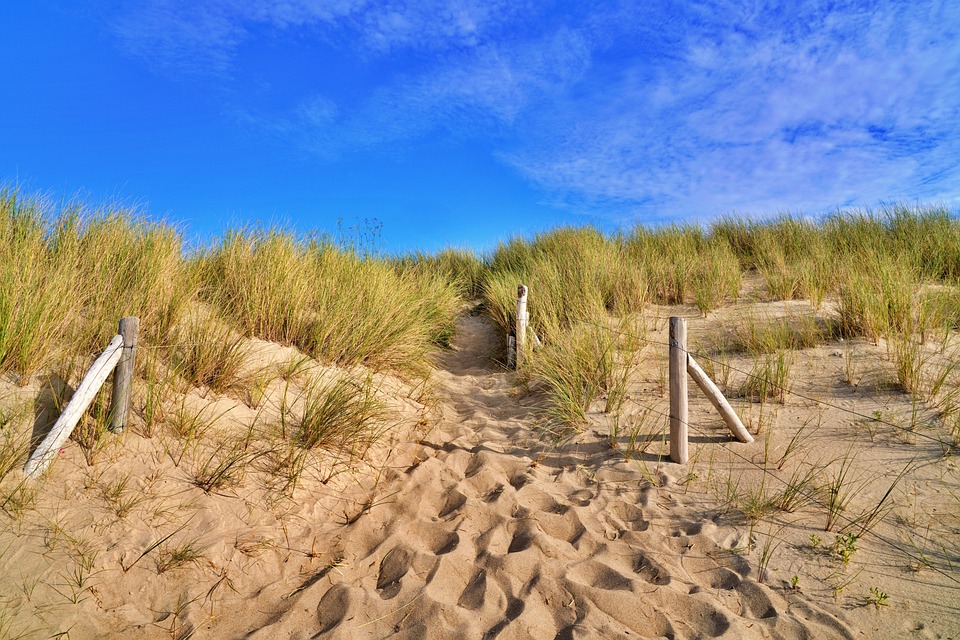Beach Littoral Path - Free photo on Pixabay