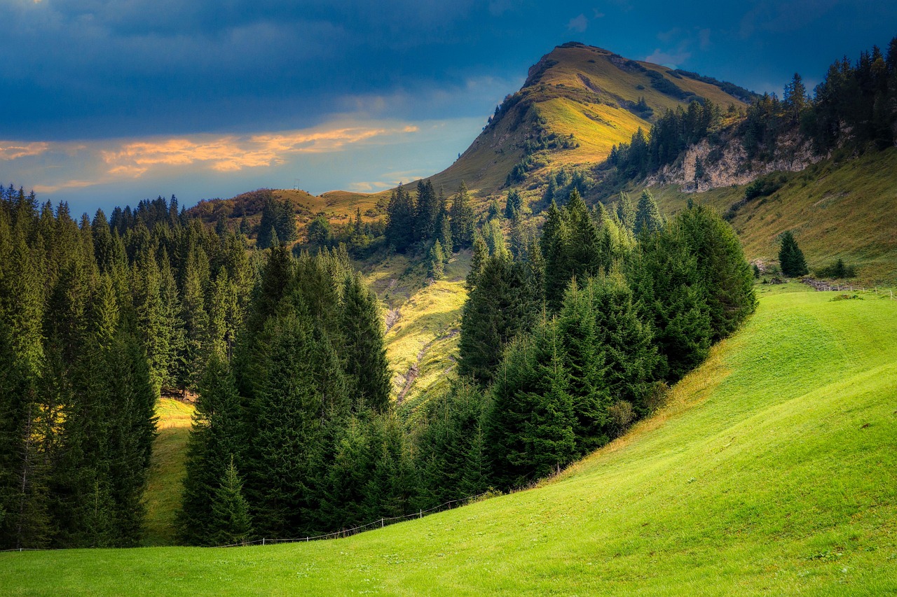 Mountains Grass Grasslands - Free photo on Pixabay