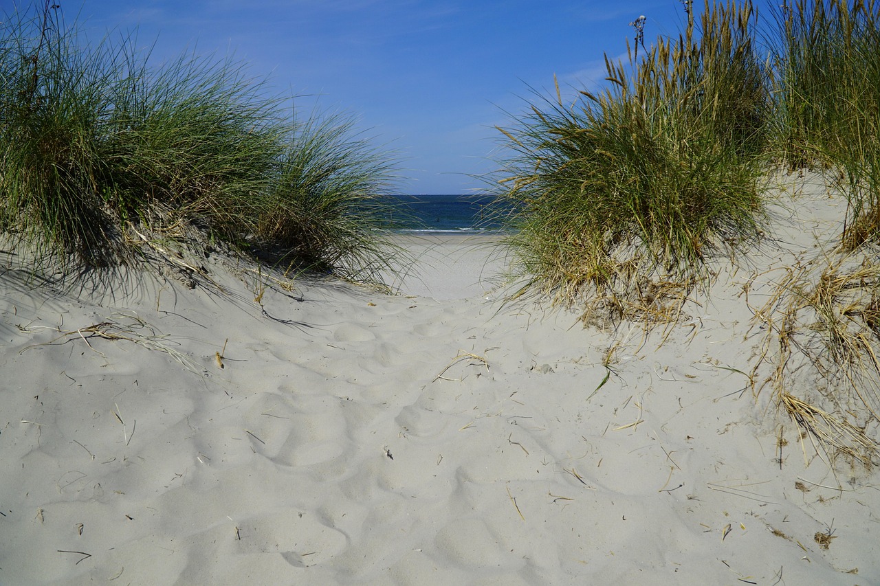 Sea Sand Dunes Beach - Free photo on Pixabay - Pixabay