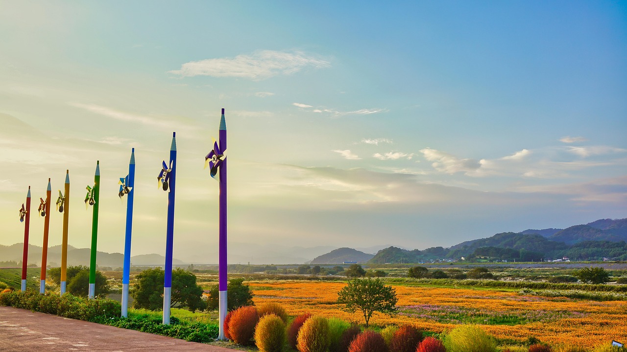 Field Dusk Bloom Flower - Free photo on Pixabay
