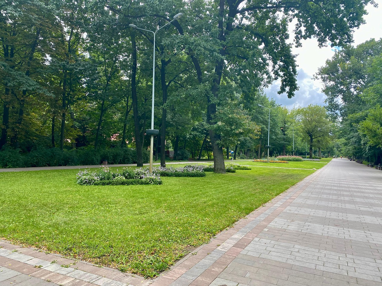 Der Park Gras Gasse - Kostenloses Foto auf Pixabay - Pixabay