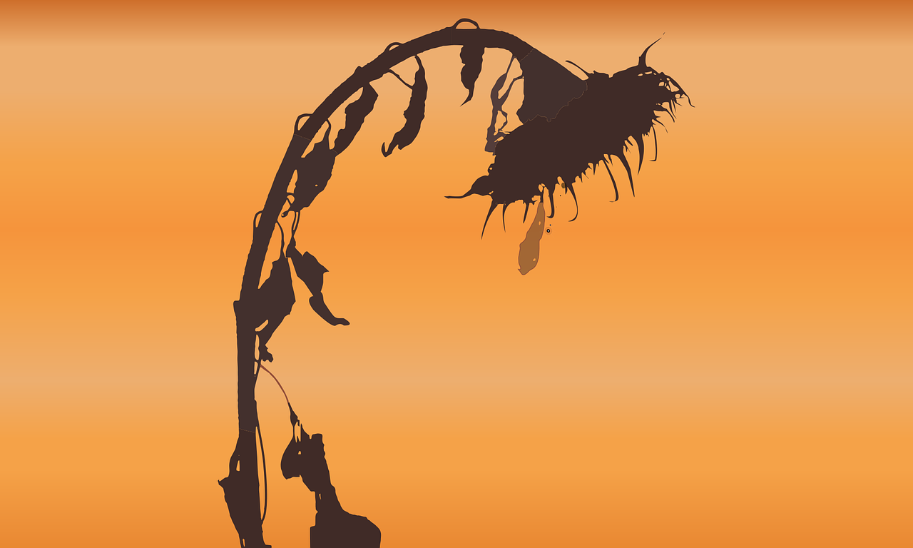 Free Dying Flower Vector Art - Download 6,643+ Dying Flower Icons ...
