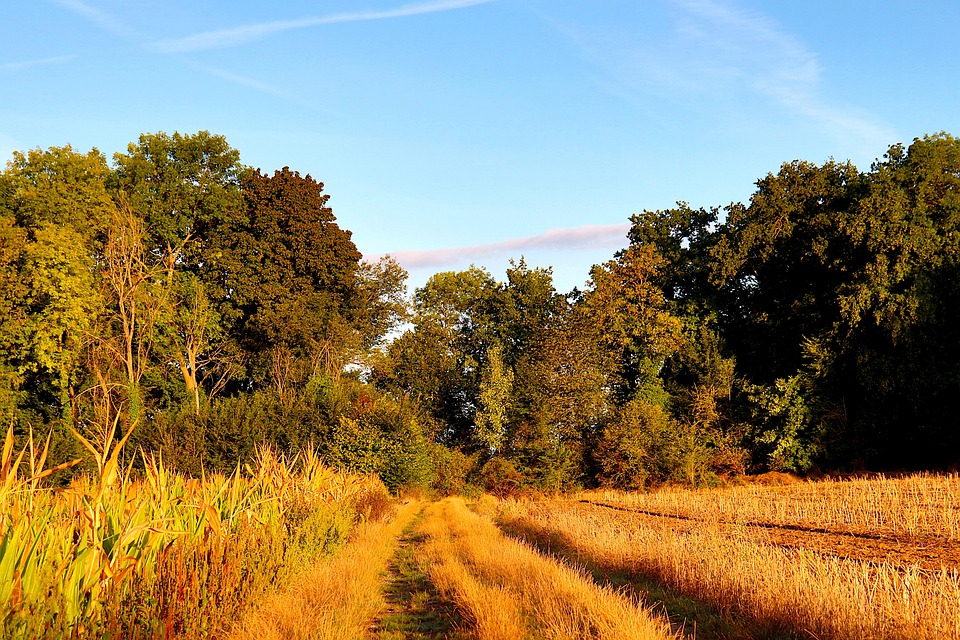 Chemin De Campagne Piste Relever - Photo gratuite sur Pixabay