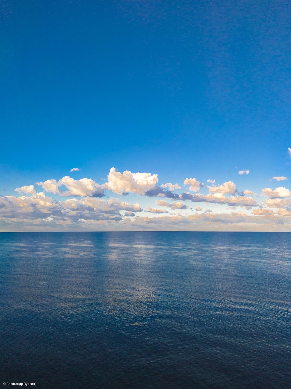 Sea Black Anapa - Free photo on Pixabay - Pixabay