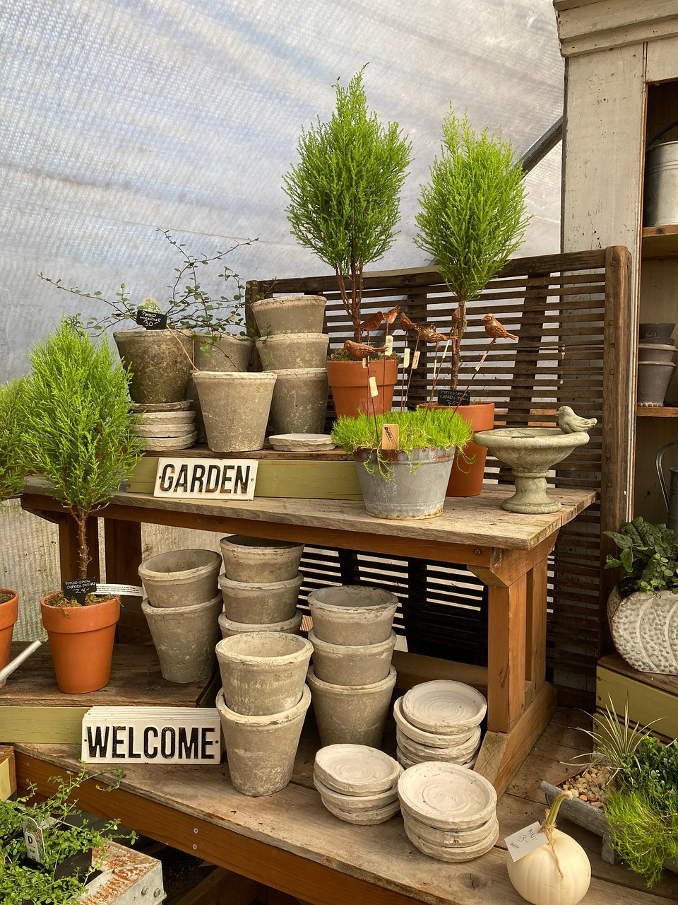 Garden Shop Display Green - Free photo on Pixabay - Pixabay