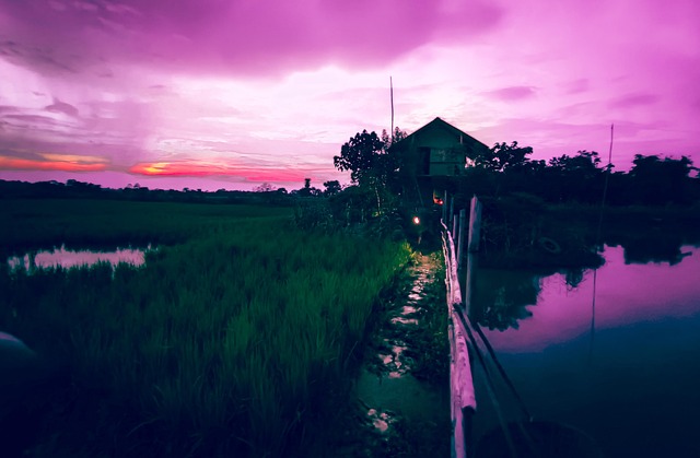 Guwahati River Countryside - Free photo on Pixabay