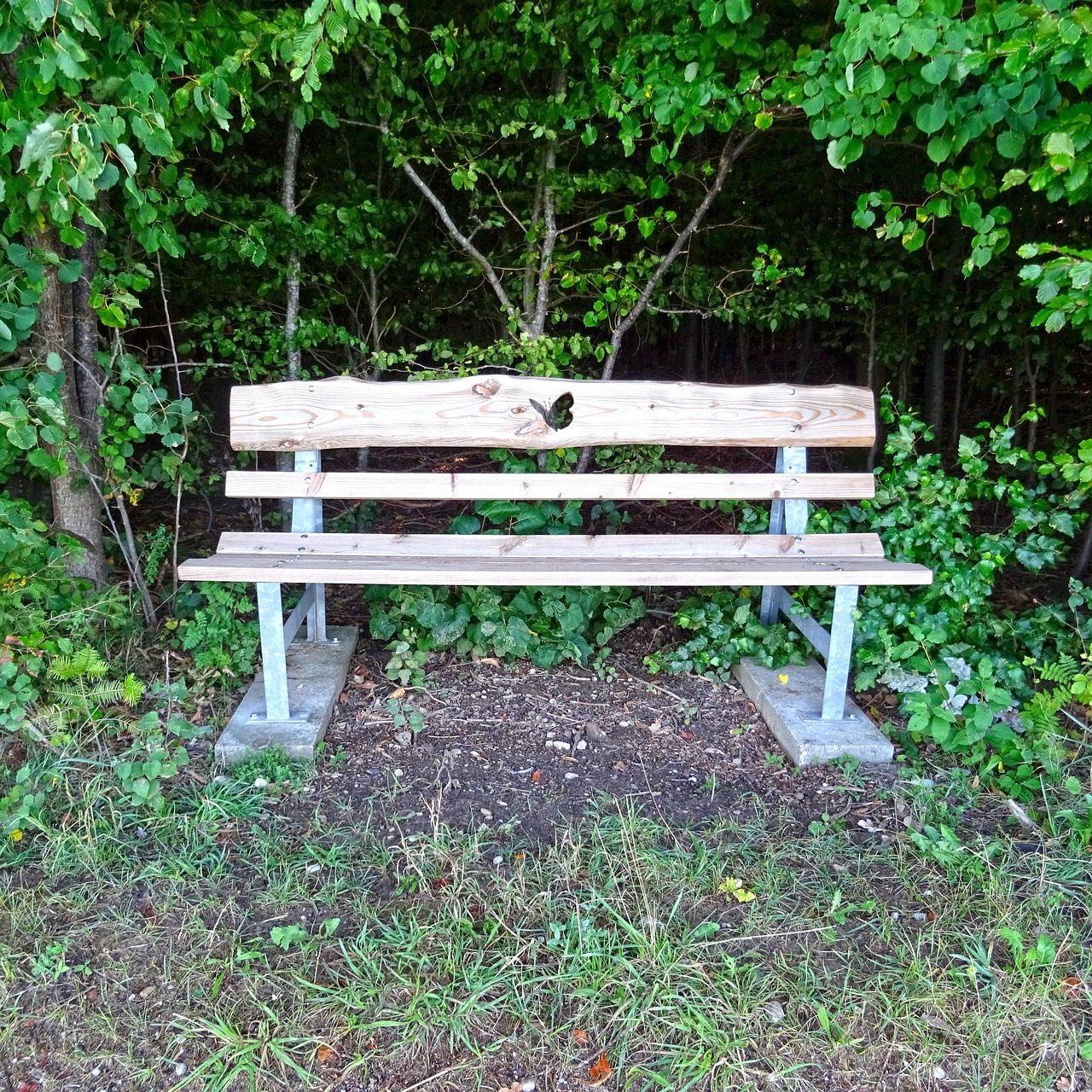 Natur Bank Wald - Kostenloses Foto auf Pixabay - Pixabay