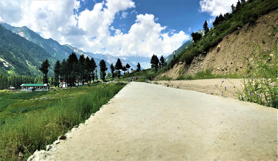 Pakistan Nature Trees - Free photo on Pixabay - Pixabay