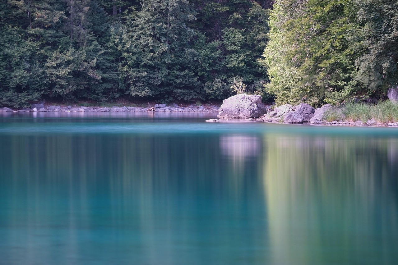 Lac Forêt Des Arbres - Photo gratuite sur Pixabay - Pixabay
