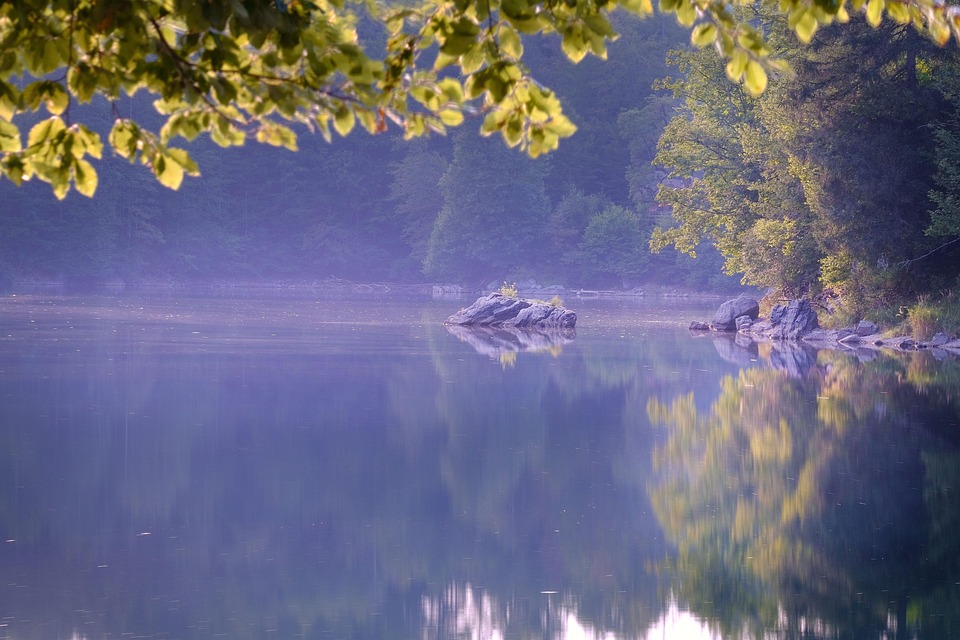 Lac Forêt Des Arbres - Photo gratuite sur Pixabay - Pixabay
