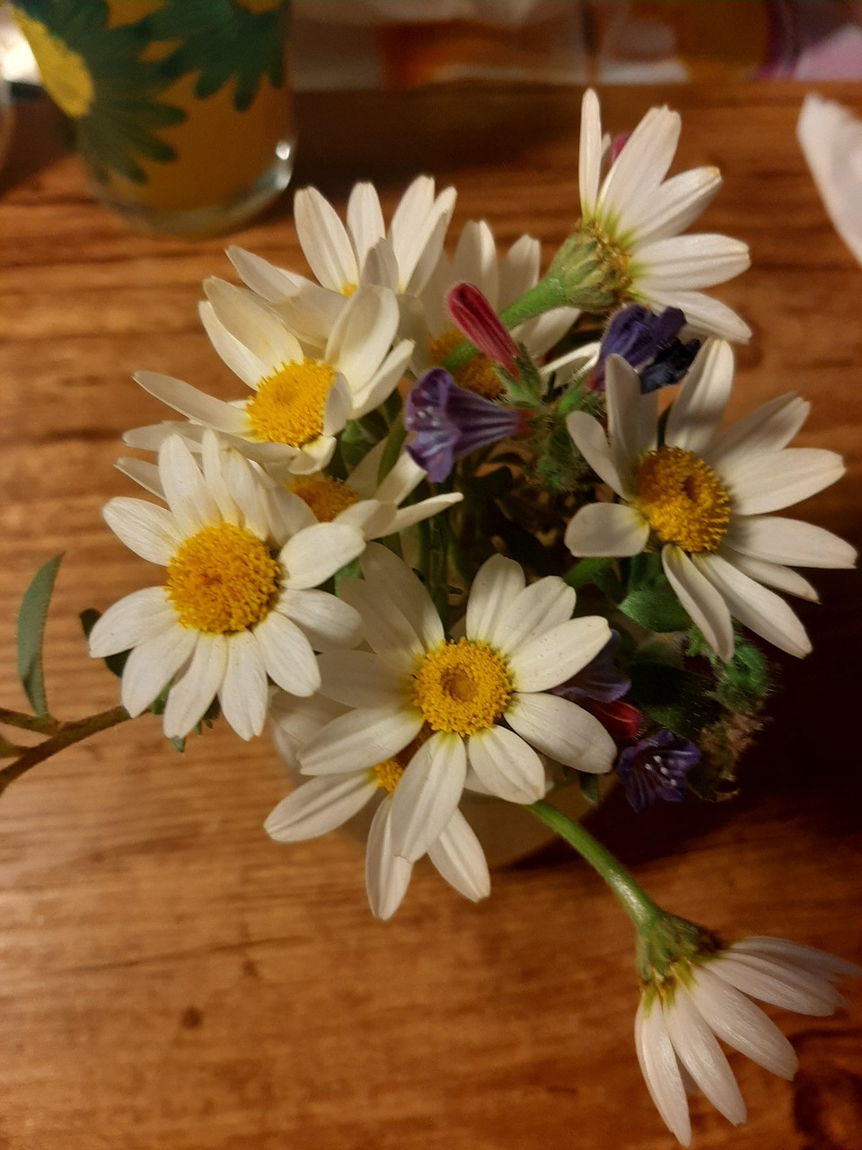 Margaritas Flower Meadow - Free photo on Pixabay - Pixabay