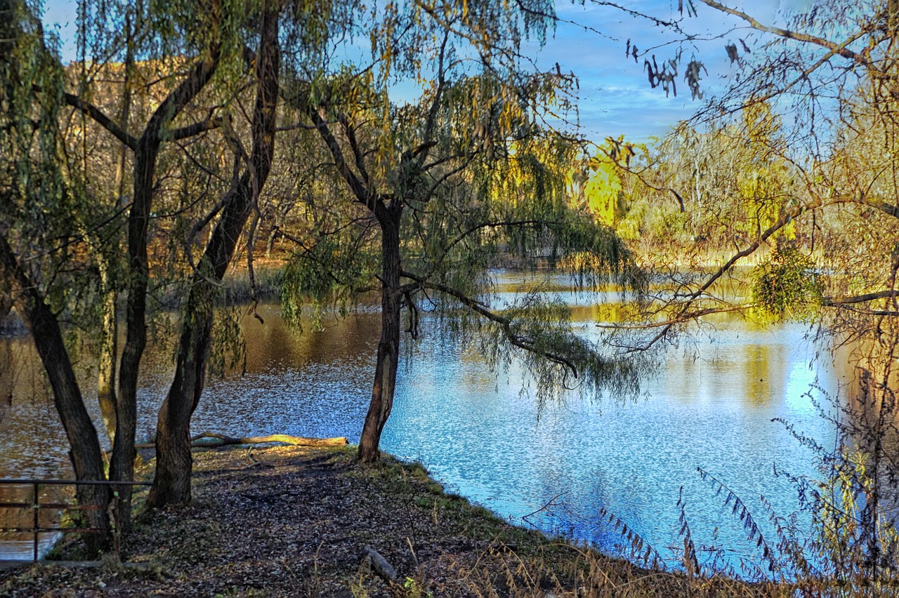 Région Sauvage Nature En Plein Air - Photo gratuite sur Pixabay