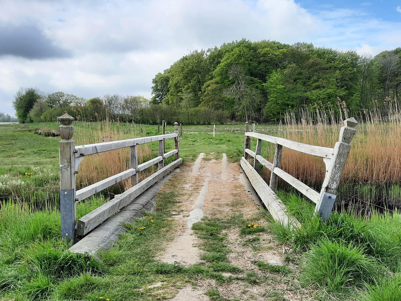 Wood Railings Path Nature - Free photo on Pixabay