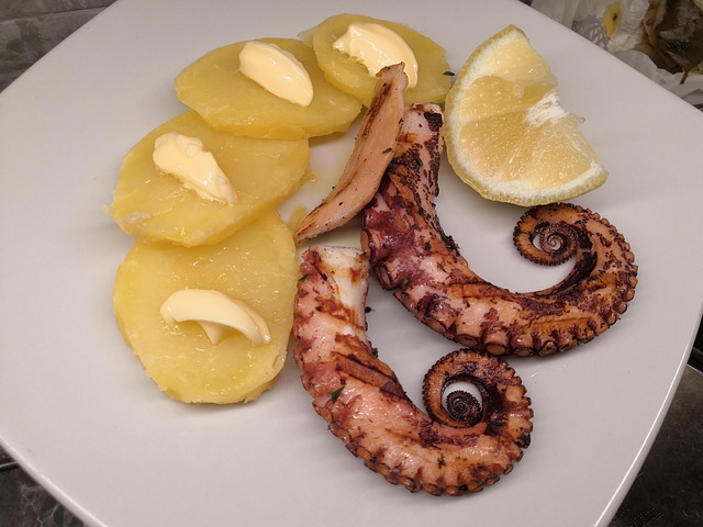 Polipo Pólipo Pulpo Mi - Foto gratis en Pixabay - Pixabay