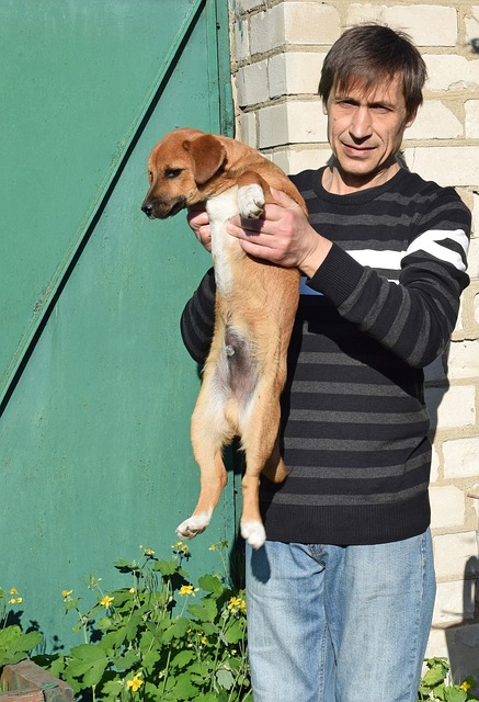 Dog Puppy Man - Free photo on Pixabay