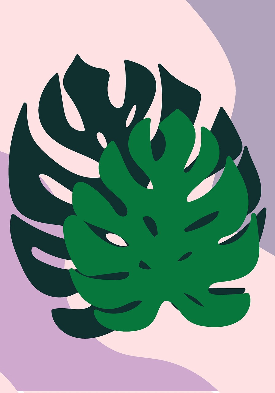 Download Monstera, Leaves, Foliage. Royalty-Free Stock Illustration ...
