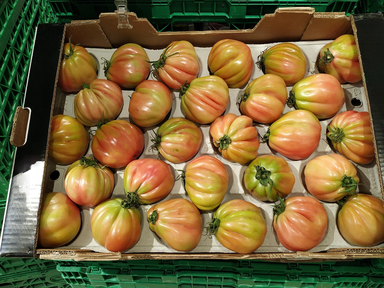 Tomates Corazón De Buey Verduras - Foto gratis en Pixabay - Pixabay