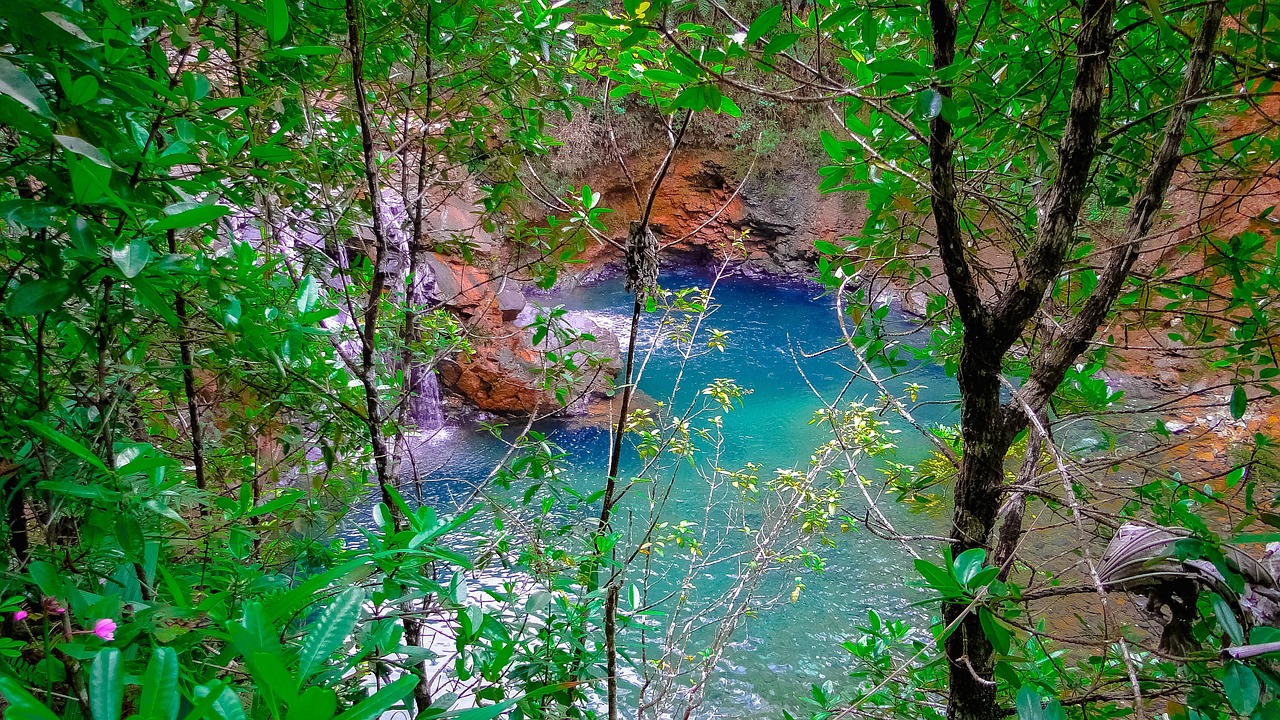 Vert Paradis Chute D'Eau - Photo gratuite sur Pixabay - Pixabay