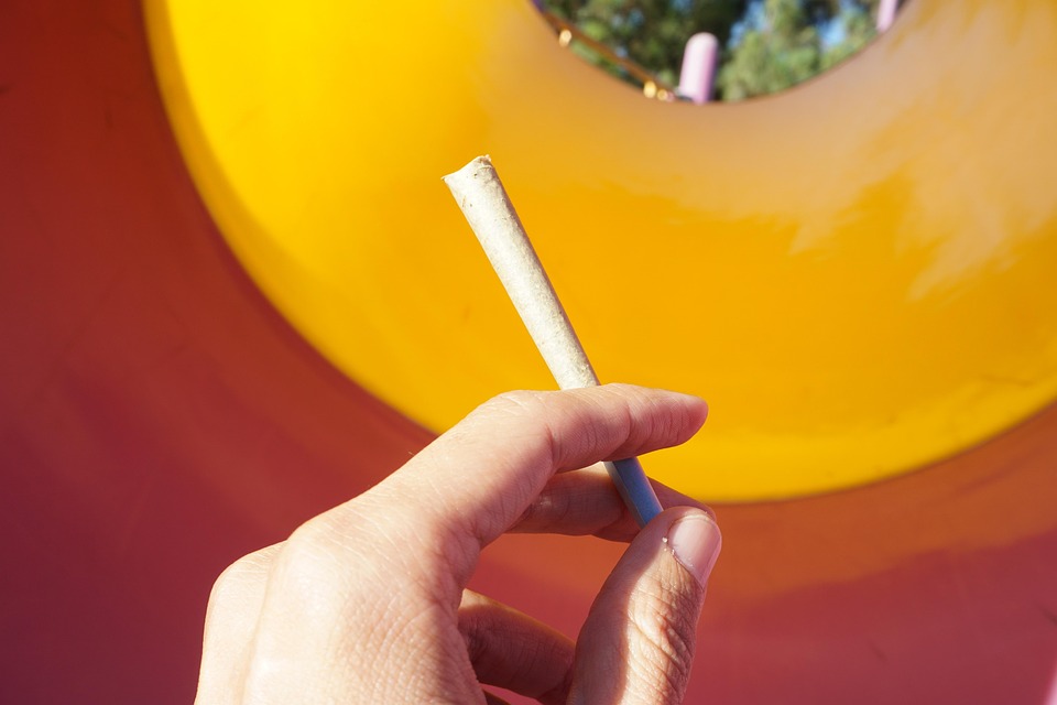 Cannabis Weed Smoke - Free photo on Pixabay - Pixabay