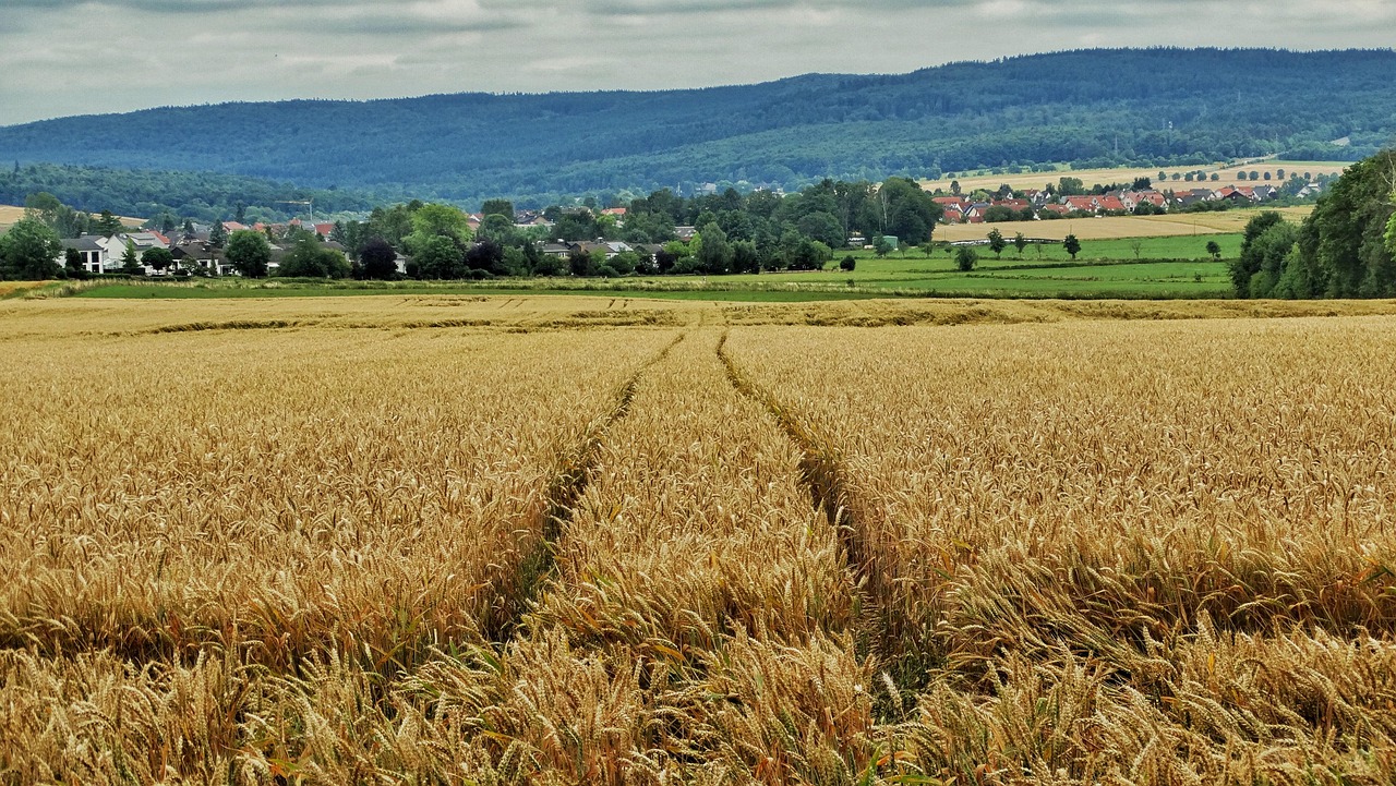 Field Near Neu Anspach In Germany - Free photo on Pixabay - Pixabay