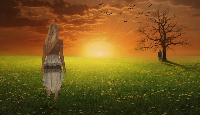 200,000+ Free The Garden Of Eden & Garden Images - Pixabay