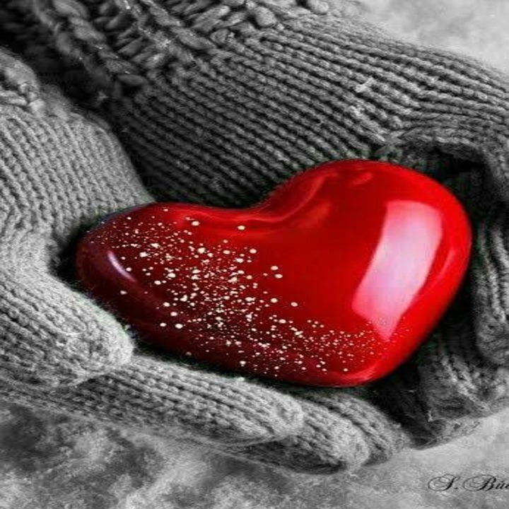 Valentin Amour De Coeur - Photo gratuite sur Pixabay - Pixabay