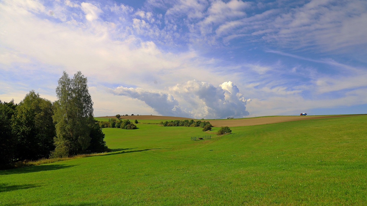 Lawn Trees Sky Blue - Free photo on Pixabay